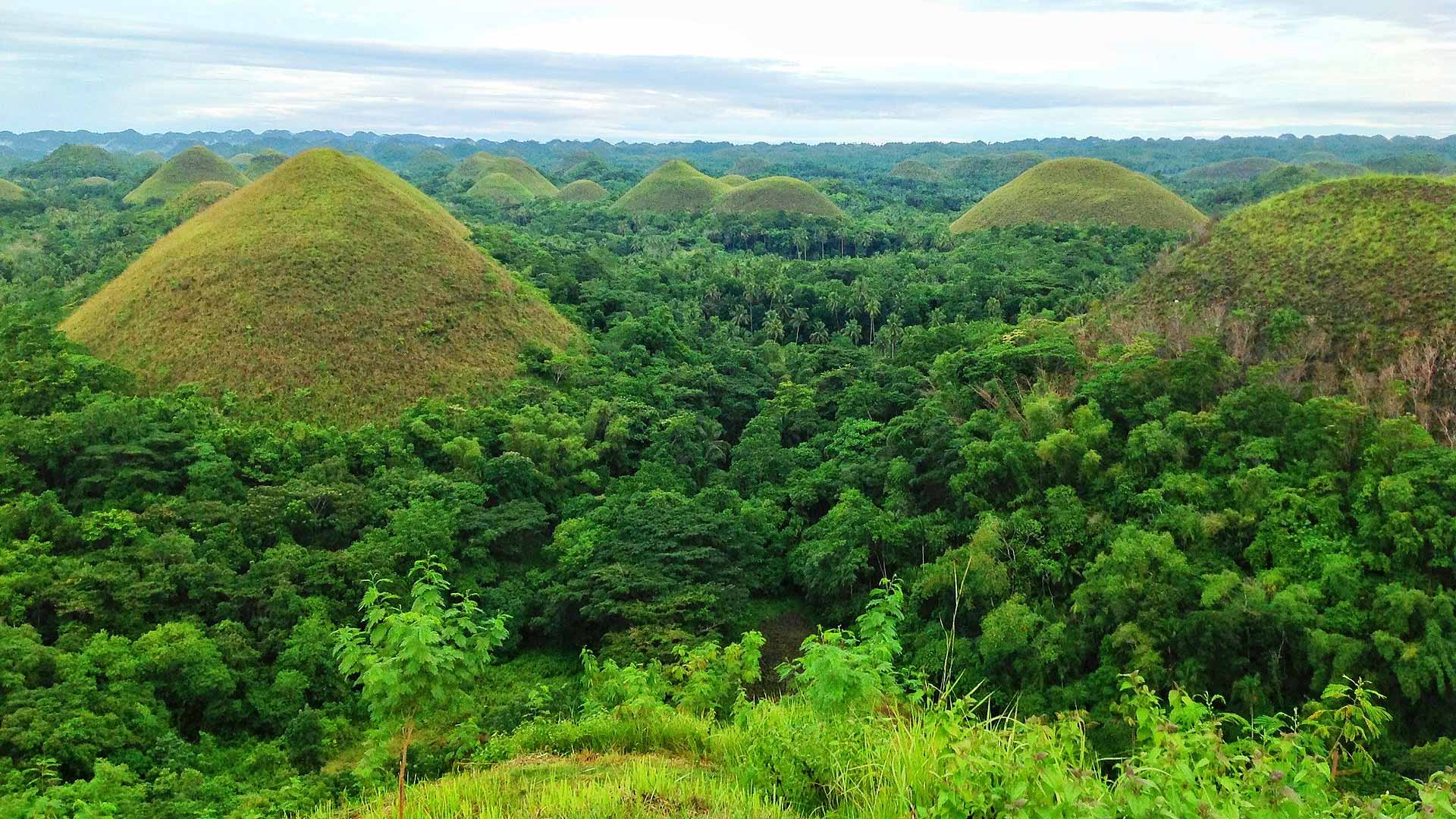 Bohol Cars For Rent - Budget-friendly Bohol rent a car and tours